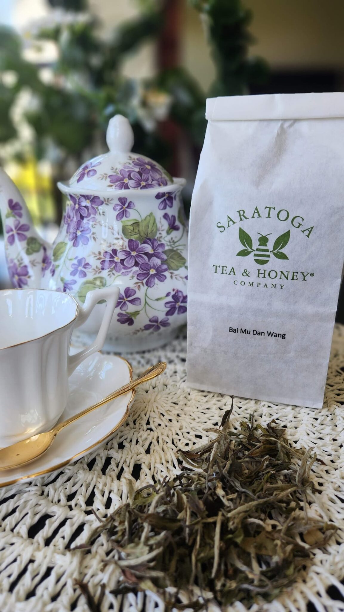 19 Best Tasting Options for Tea Beginners